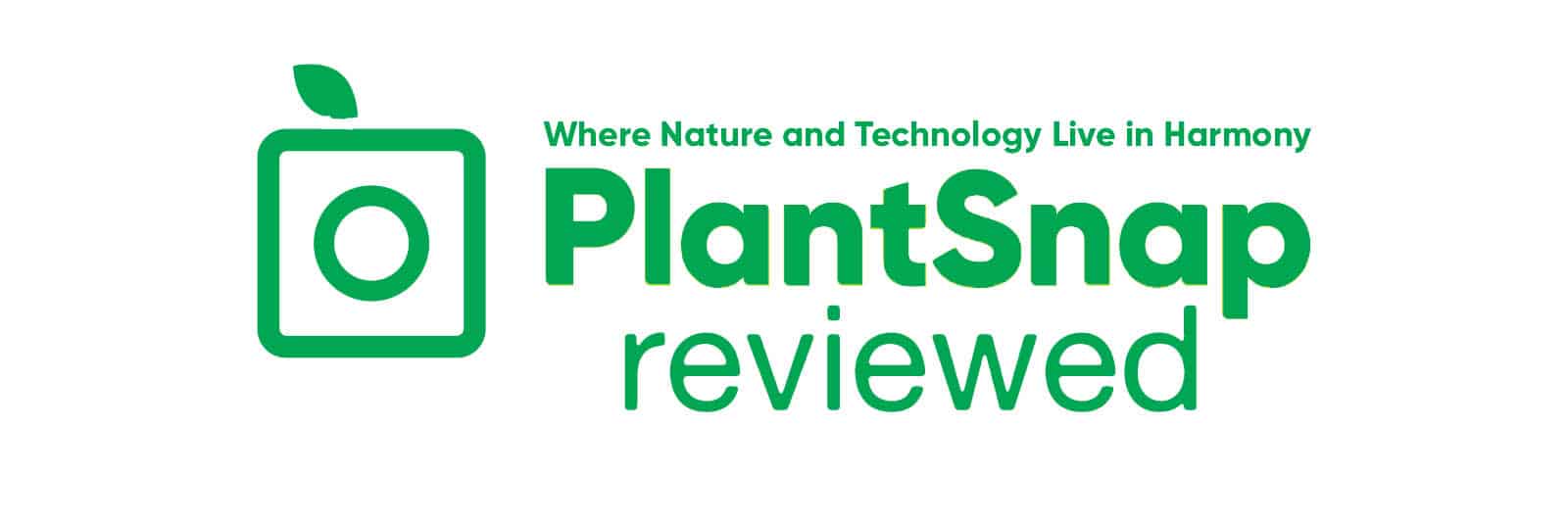PlantSnap Review How Does It Work Apps UK PlantSnap Review How Does It Work Apps UK