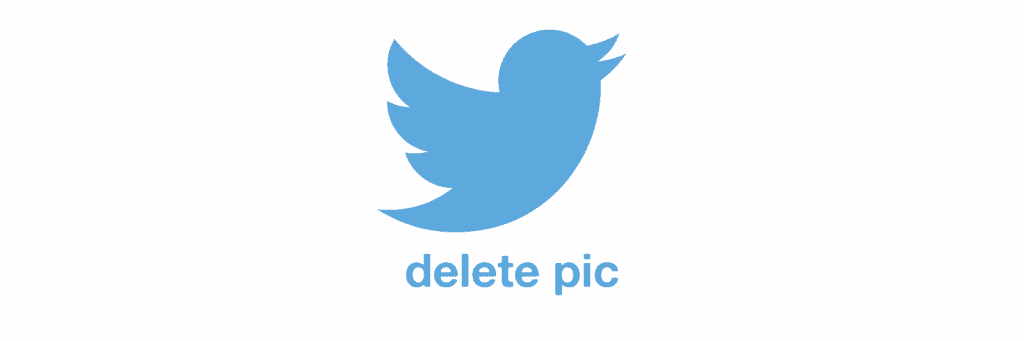 How to Remove your Twitter Profile Picture - Quick Guide - Apps UK 📱